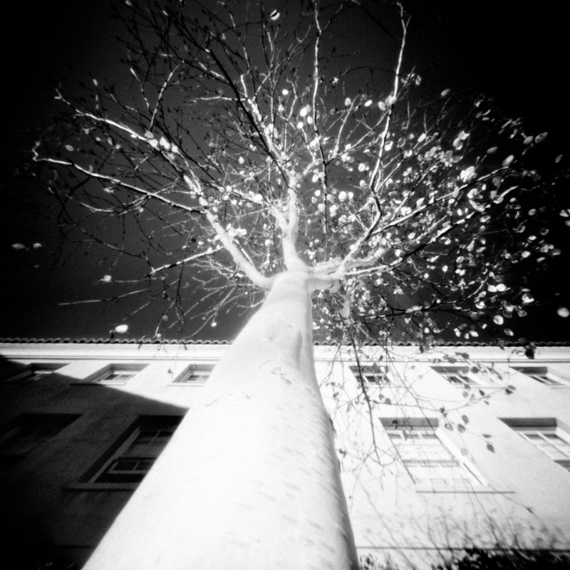 4th Biennial Pinhole Show at RayKo Gallery, San Francisco, Ca. - Scott ...